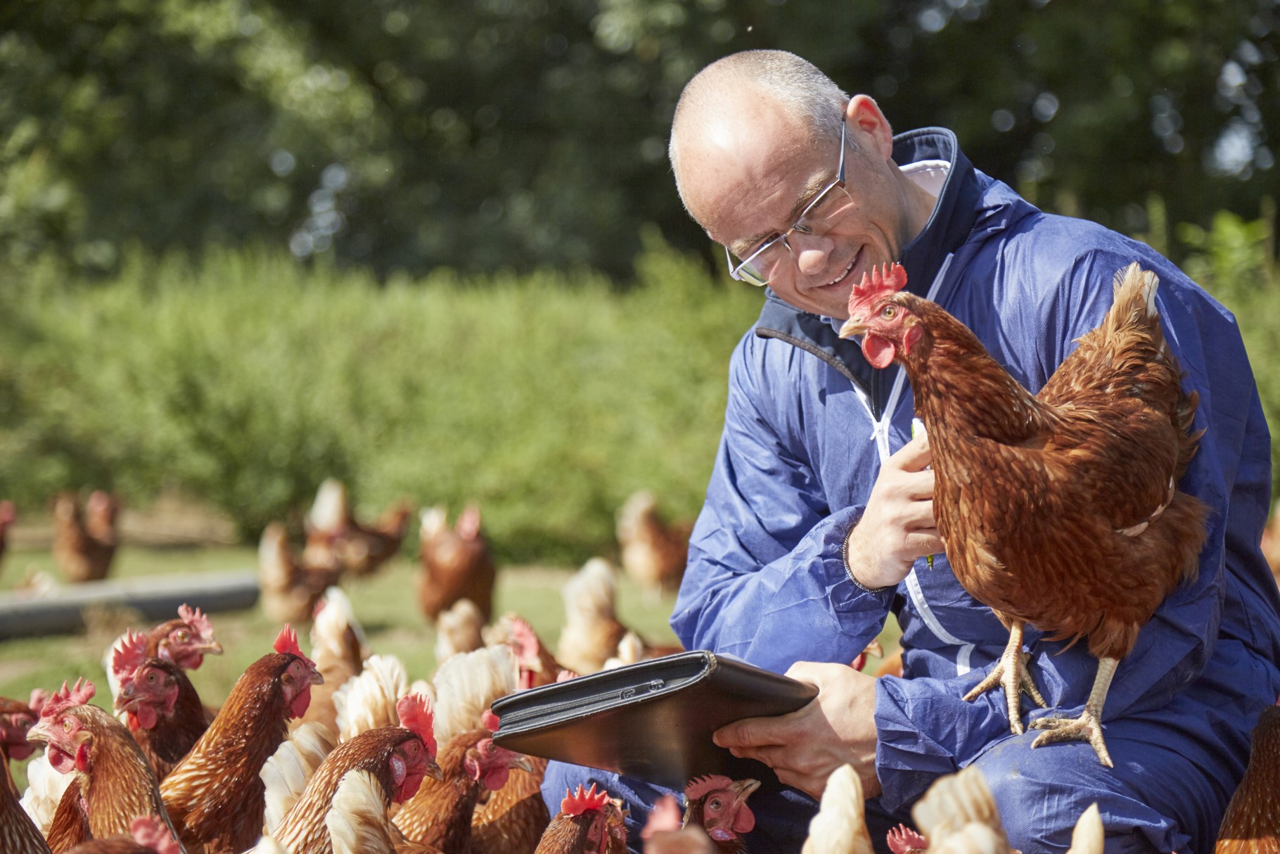 RSPCA - Find your new career