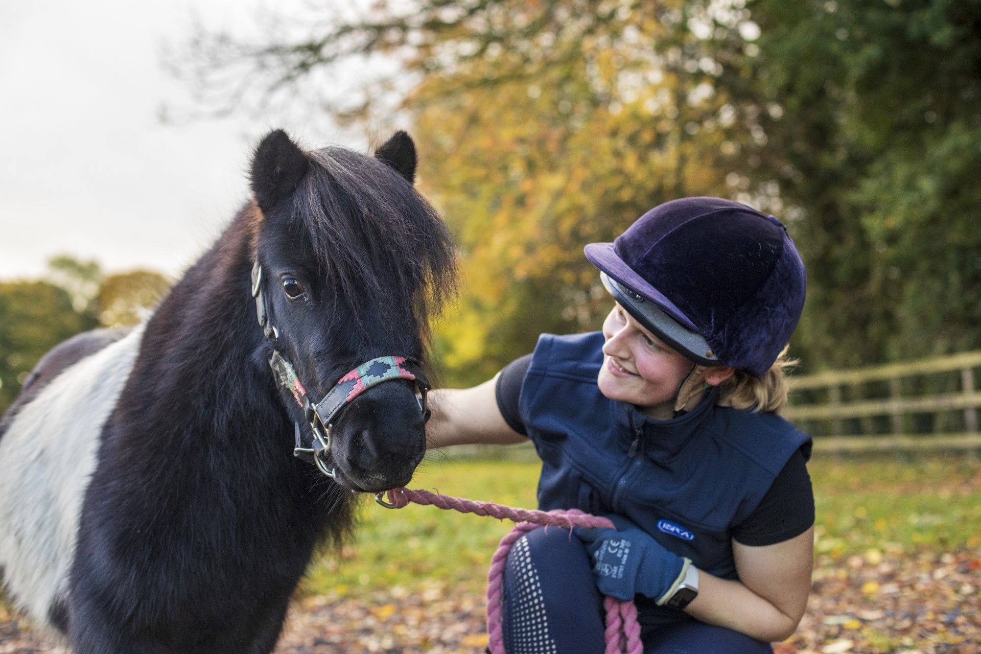 RSPCA - Our benefits