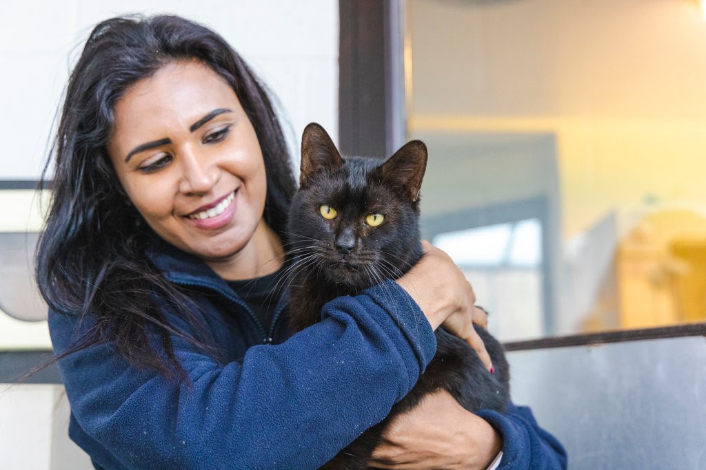 RSPCA - Find your new career