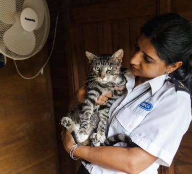 RSPCA | Careers
