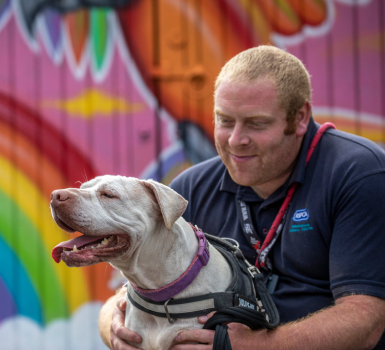 RSPCA | Careers